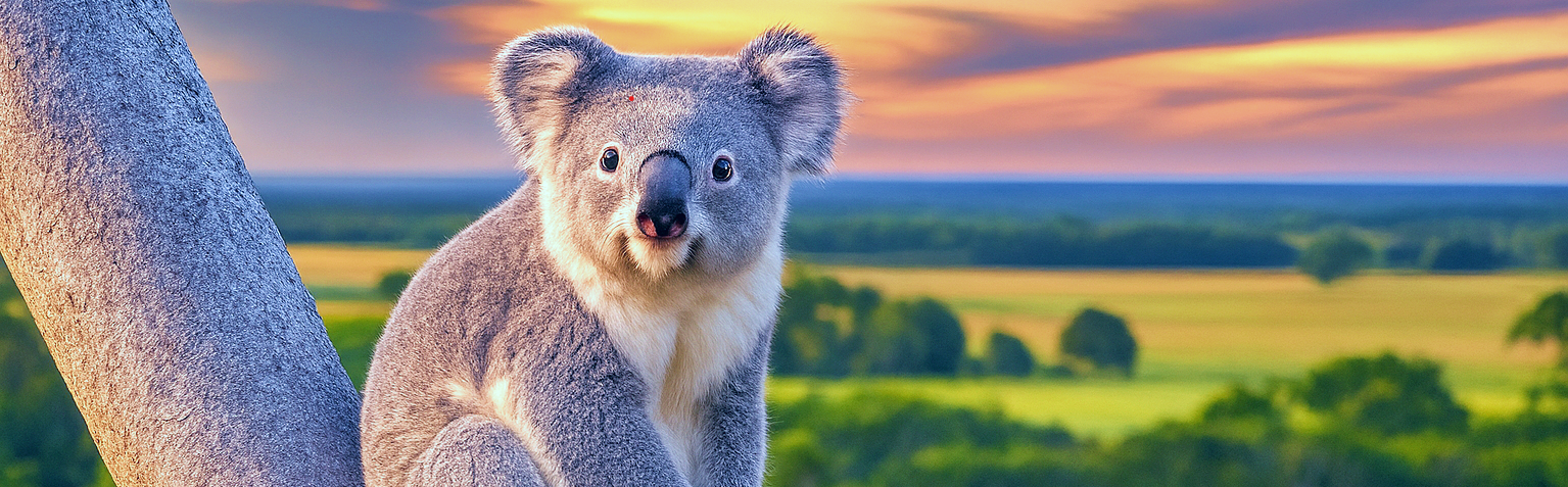 PDA Australia Chapter | PDA